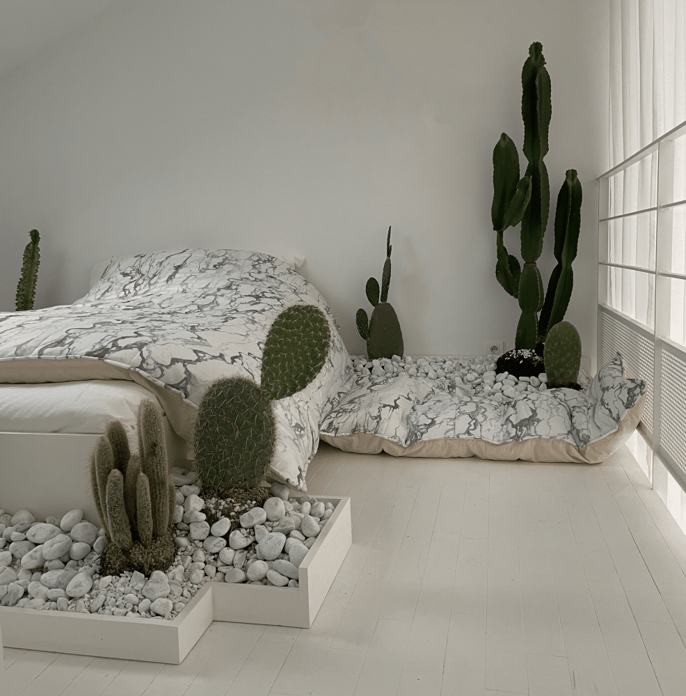 Mathias KISS | Artiste pluridisciplinaire